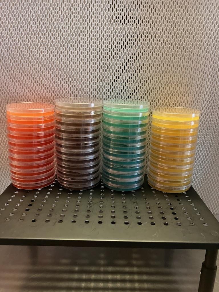 90 mm Pre-Poured Agar Plates - Boise Mushroom Company | Gourmet ...
